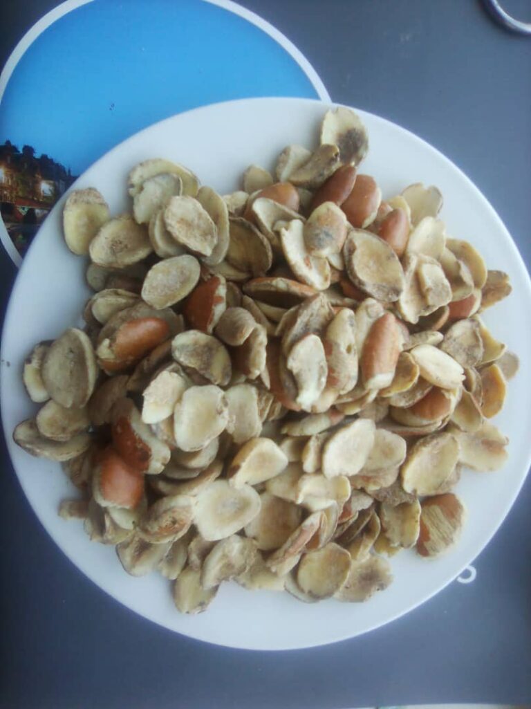 WHOLE OGBONO. Irvingia gabonensis - Lifeways Foods UK